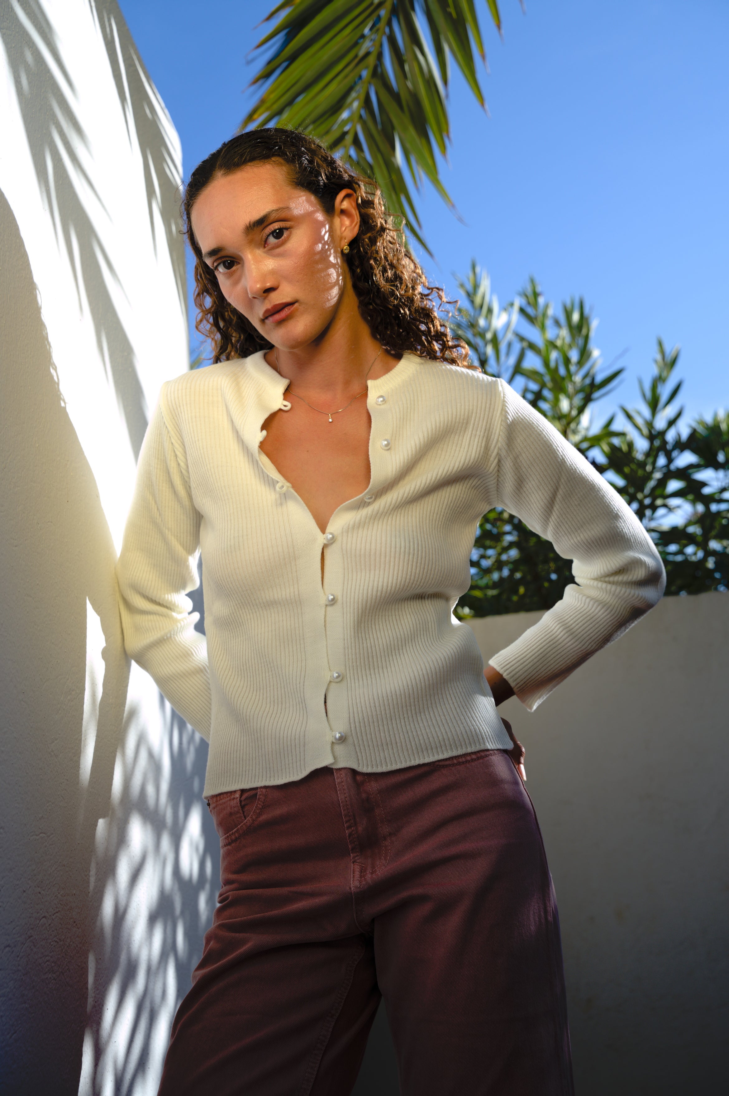 Collections – ANNOU
